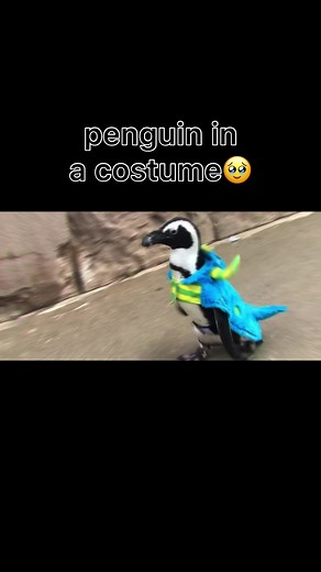 Game Grumps Dan Avidan NSP ADHD Loop