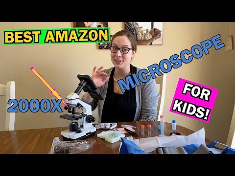 Amazon BEBANG 2000X Microscope for Kids #science #experiment #lab #founditonamazon #biology