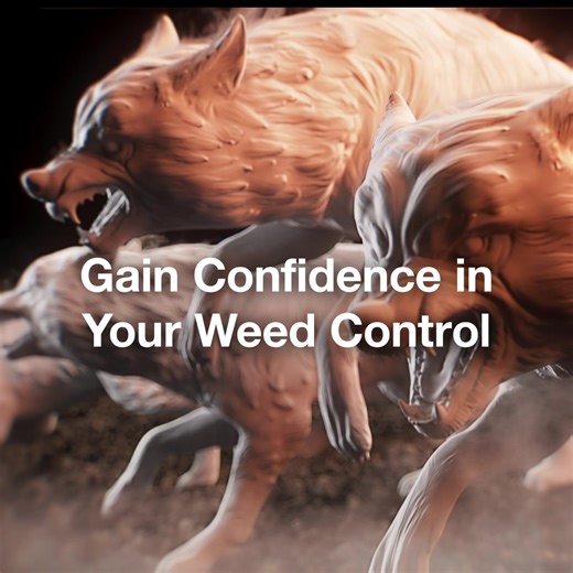 Discover a powerful PPO residual corn herbicide you can apply pre- through early-post. Don’t chase weeds. Attack them. | BASF Agricultural Solutions