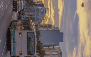 使命召唤手游枪械合集