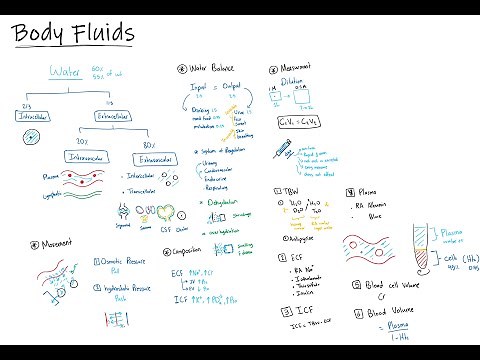 Physiology || Body Fluids