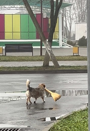 Angelok (@angell_voina)’s video of leaving stuff purposely at his house