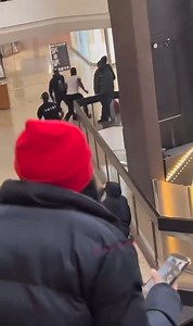 840K views · 3.3K reactions | Fight breaks out at Fairlane Mall, (Dearborn, Michigan). (Note: Video was posted on twitter today.) (Video credit: https://x.com/worlddarkweb/status/1906114230446661644?s=46&t=pBmOR3YIwEBbAGKHzYNr_w) | DEARBORN AREA COMMUNITY MEMBERS | Facebook