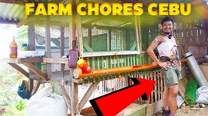  With special Guest IK and ate Pao!  Week 4 Update: Booster Shots, Vaccine Day & Grower Transfer in Cebu + Special Farm Visitor!  This week's tasks: Collecting eggs, updating the compost pile, adding rice hull bedding, and administering booster shots—Gumboro GM 67 and Fowlpox vaccines.  BIG SHOUT OUT sa atong mga follower! Happy farming tanan! #dominantCZ #poultryfarming #vacination | H3J Happy Backyard FARM | Facebook