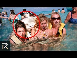 10 Hilarious Perfectly Timed Photos You Need To See