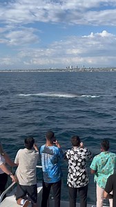 817K views · 10K reactions | An outstanding view of a beautiful blue...