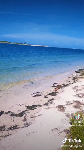 Shell Key Preserve - Top Kayaking Spot in Central Florida
