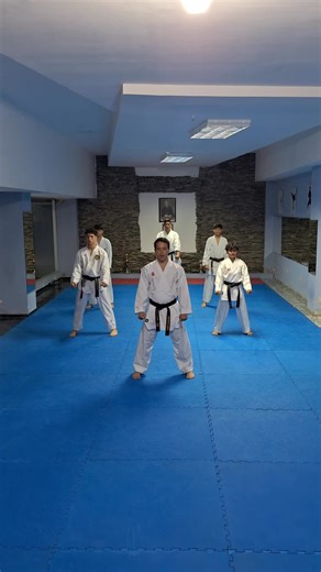 “Meikyo: ‘Espejo Brillante’ o ‘Espejo Pulido’. Este kata no es solo un conjunto de técnicas, sino una profunda reflexión marcial. Cada movimiento es un acto de pulir el espejo interior. Como el cristal más puro, la práctica busca eliminar las imperfecciones del ego, la duda y la distracción, para reflejar la realidad con claridad instantánea. #dojofernandomatheus