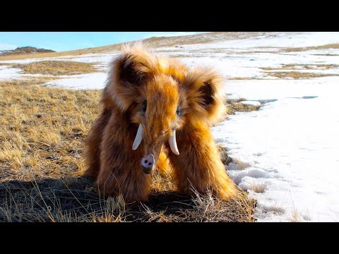 Extinct Animals Caught on Camera
