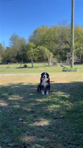 276 reactions · 28 comments | October recap. It fun to take a look back over the last few weeks. They go by so fast. #octoberrecap | Peggy L. Marchetti | Facebook