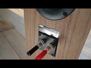 Project introduced speaker box 15 DS2