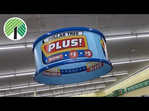 A genius Dollar Store organizing hack you've never seen before