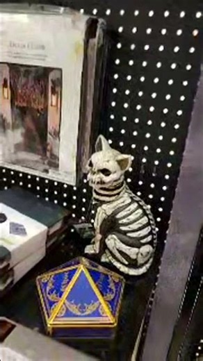 😱 Searching for the Creatures of the Night at Tampa Zoo 🦇🐍✨ (Wish me luck!)