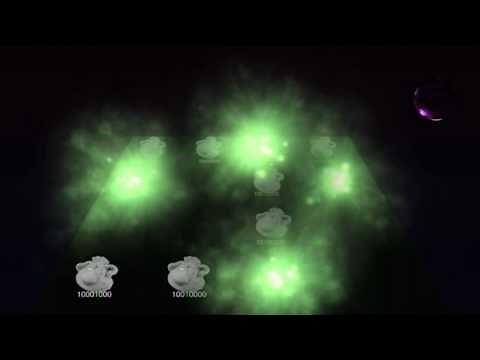 Mechanisms Of Evolution: How Does Variety Give Rise To New Species?