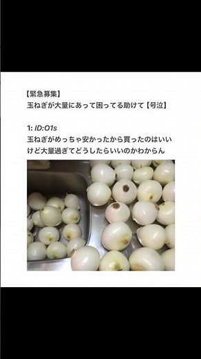 【2ちゃんねる】玉ねぎ大量に買いすぎた...【アフレコ】