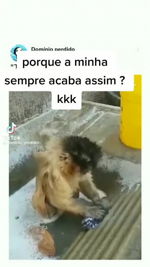 Crazy Chicken Performs Wild Wing Flaps Outdoors