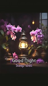 Good Night and Sweet dreams 💤. #goodnight #sweetdreams #GoodnightEveryone #GoodNightFriends #goodnightimages | Good Night Images, Quotes and Wishes