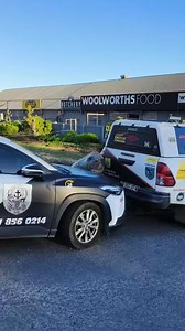 1.4M views · 10K reactions | An elephant seal caused a traffic...