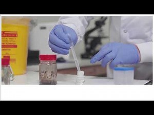 stool process english