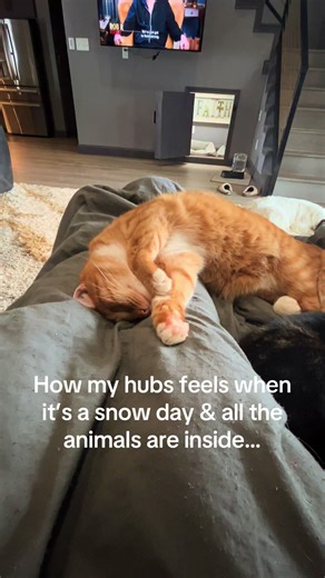 #snowday #Decatur #Texas