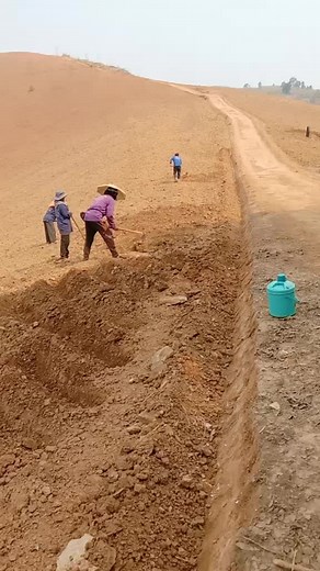 Manual Labor Techniques for Digging Soil on Hillsides