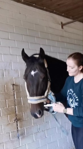 10K views · 86 reactions | Do you have a Horse with a bad behavior?...