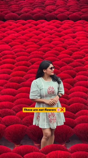 239K views · 260 reactions |  This isn’t a flower field… it’s...