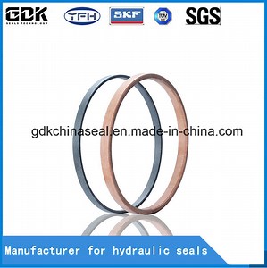 [Hot Item] Hydraulic Cylinder Piston Rod Guide Ring/Wear Ring Support Ring