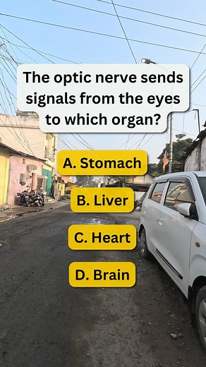 Where do eye signals go? Can you guess? 👀 | Catch The Clue