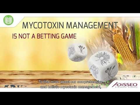 Mycotoxin Management by Adisseo