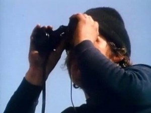 Extra: Mickey's racing highlights