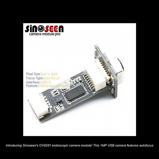 OV9281 Sensor 1MP Usb Camera Module Auto Focus mini Endoscopic For Global Exposure