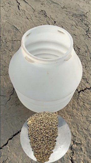 B Complex injection for Chickens in Summer Months | Dr. ARSHAD Vet