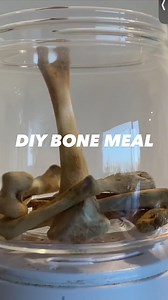 1.3M views · 45K reactions | How to upcycle chicken bones and taking advantage of their benefits! 領 There are so many things we throw out on a daily basis that can be used in super clever ways.. try this next time you eat chicken! . . . . #bone #lifehack #howto #tipsandtricks #plants #gardening #upcycle #recycle #planttips #gardeningtips #chicken #diy | creative explained | Facebook