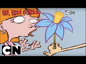 Ed, Edd N' Eddy - An Ed Too Many