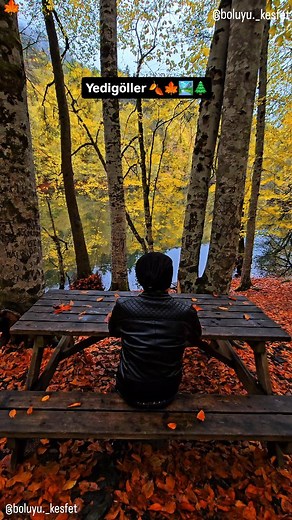 118K views · 2.2K reactions | bu manzarayı beraber görelim dediğin kişiye gönder 李 onu mutlu et 珞 tam vaktinde gittiğinizde göreceğiniz yedigöllerin sonbahar hali. 9 kasım 2024 tarihinde yedigöller böyleydi珞 #sonbahar #sonbahar #autumn #autumnvibes #autumn #autumncolours #bolu #yedigöller #bolu #gezi #tatil #gezilecekyer #nature | Boluda Bir Yer | Facebook