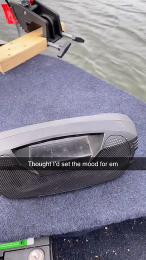 2 40lb snapping turtles gettin busy #fishing #fishtok #minnesota #cormorant #Meme #snappingturtle