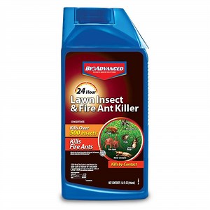 Reviews for BIOADVANCED 32 oz. Concentrate 24-Hour Lawn Insect And Fire Ant Insect Killer | Pg 1 - The Home Depot
