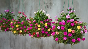 Turn Plastic Trash Into A Beautiful Hanging Garden, Watch Here: https://youtu.be/EhTKE4grC3A | Diy Garden World