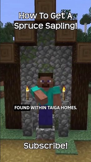 How To Get A Spruce Sapling In Minecraft?!