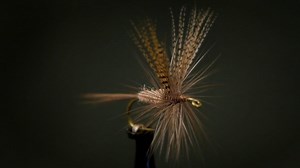 Catskill Style Hendrickson Dry Fly