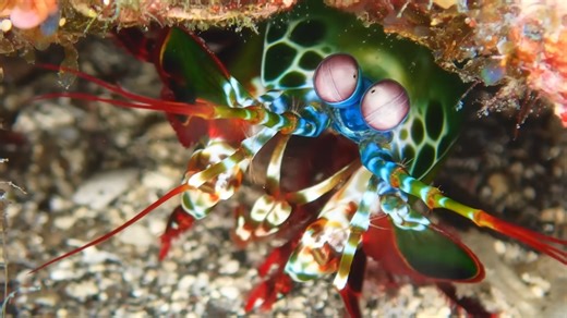 This punch creates heat, light and shockwaves underwater