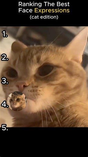 Ranking The Funniest Face Expressions😂 #funny