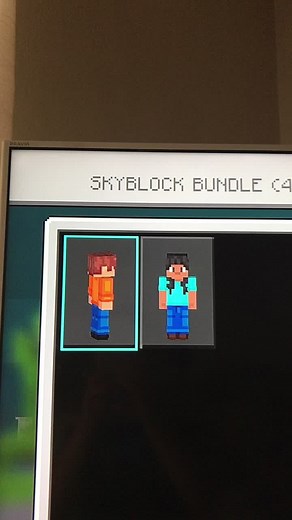 Explore Unique Minecraft Character Skins