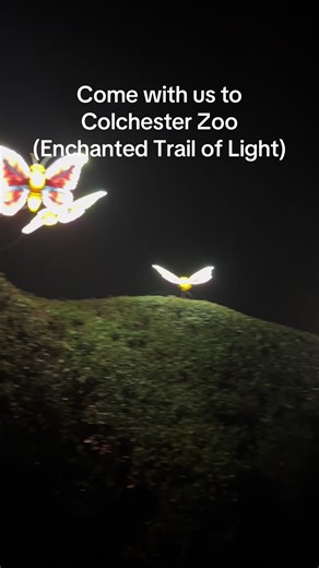 If you are in London/Essex this is your sign to visit the Enchanted Trail of light 😍 #kidsactivities #mumsoftiktok #fyp #bangladeshi #familyfun