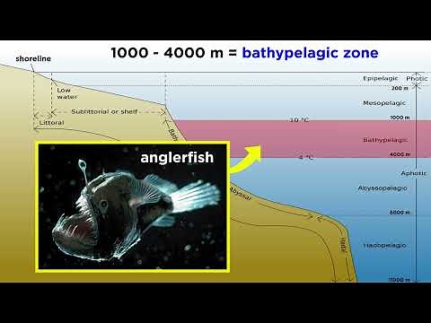 The Layers of the Ocean