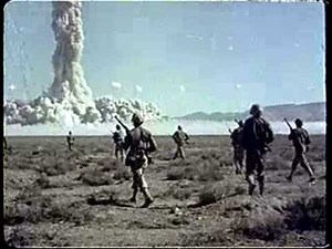 Aberdeen City - Pretty Pet