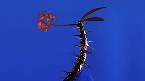 This is it. That's a wrap on all the music from Skin. The Companion EP II is out on vinyl today, and as a final touch I'm releasing a bonus track - 'Hyperreal' feat. Kučka: flu.me/HyperrealSpotify Thanks again for all the love and support - see you out on the road 🙏 | Flume