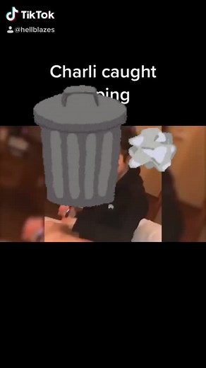 Last one got removed for the smoke so i put a sticker on #charlidamelio #vaping #caught #exposed #16