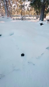 7.6M views · 292K reactions | Even though it was freezing cold this...